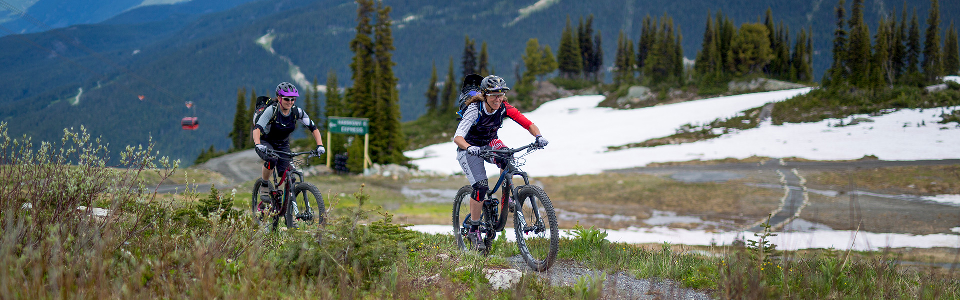 Let's Ride | Giant Bicycles US