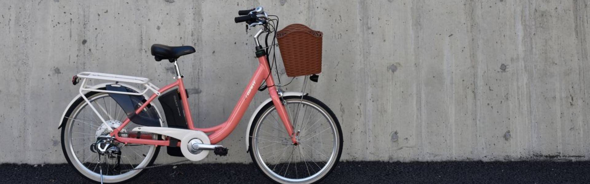 EA-402 | Giant Bicycles Official site