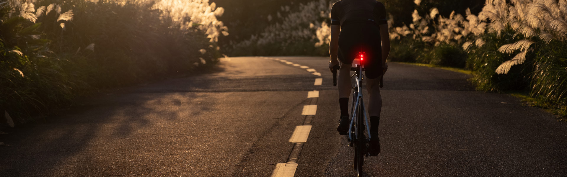 Recon Lights Range | Giant Bicycles UK